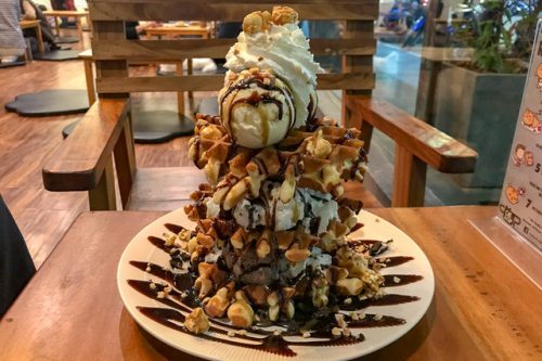 The ultimate list of 28 best cat cafes around the world