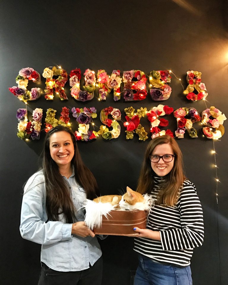 The ultimate list of 28 best cat cafes around the world